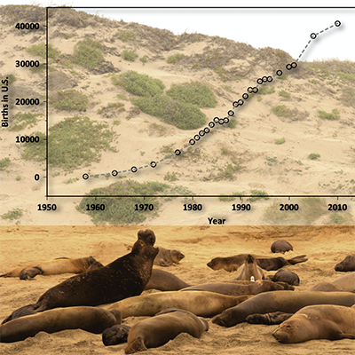 Lifting Baselines - Joe Roman