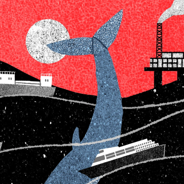 America’s New Whale Is Now at Extinction’s Doorstep - Joe Roman