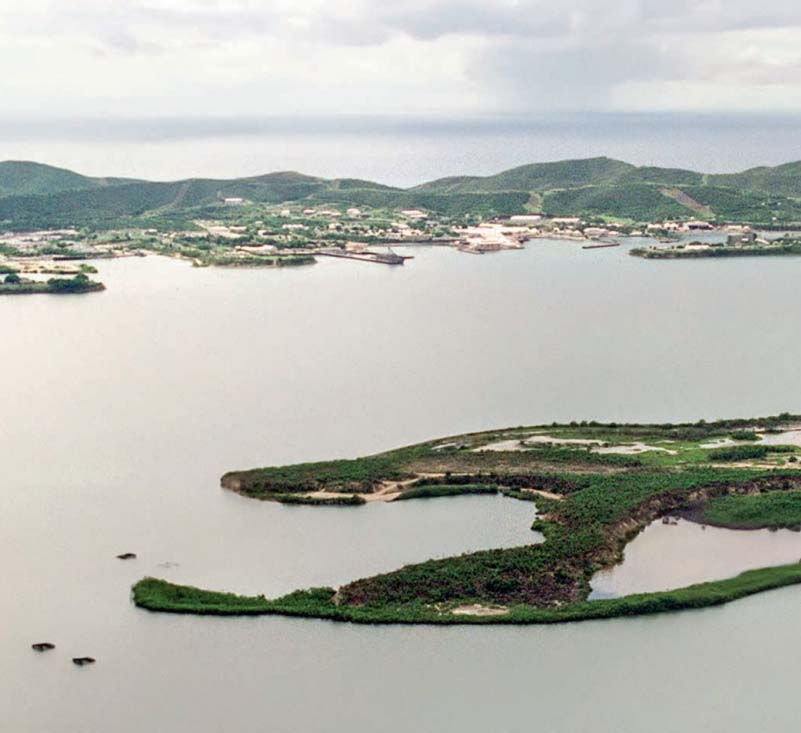 Gitmo 2.0 - Joe Roman