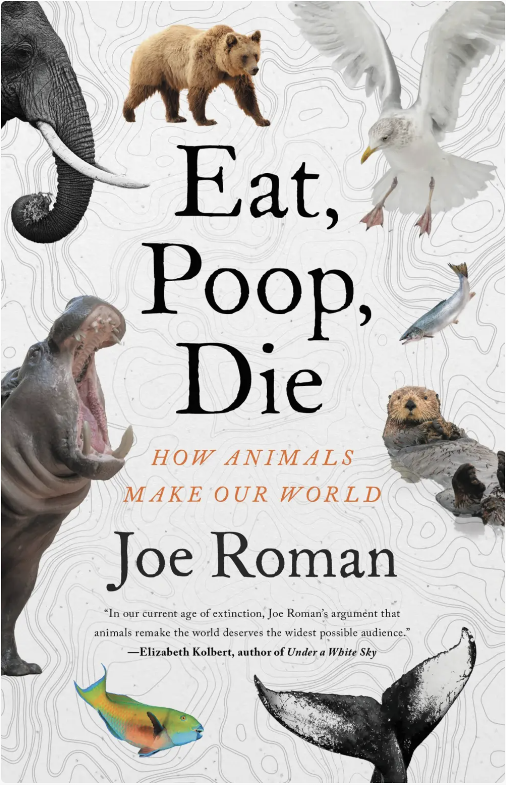 Eat, Poop, Die: UVM Researcher’s Book Explores How Animals Make Our ...