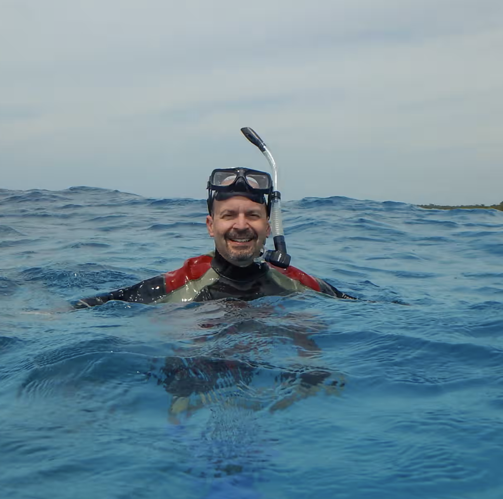 I’m Obsessed with Whale Poop: "It Can Be Neon Green, Bright Red – or ...